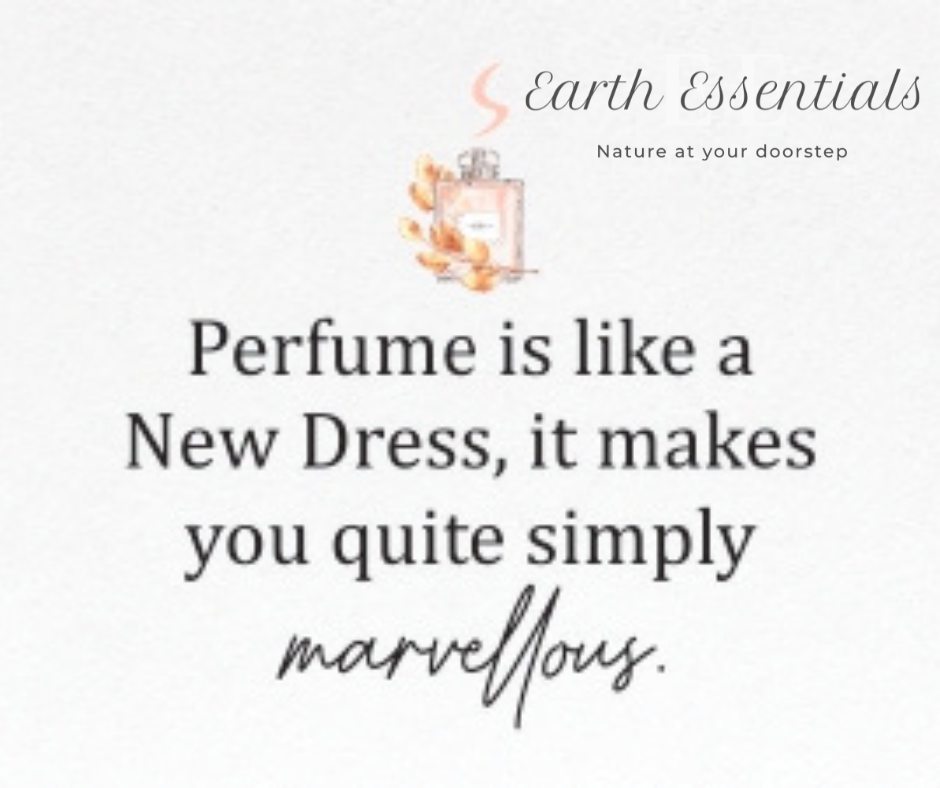 The Essential Guide to Selecting a Fragrance